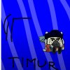Иконка канала TIMUR