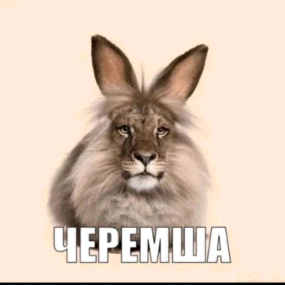 Иконка канала черемша Кутузов