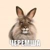 Иконка канала Mopsike