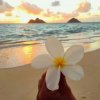 Иконка канала 🥥~🐚•°Evelyn's_family_summer°•🐚~🥥