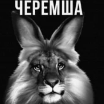 Иконка канала Черемша и Соер
