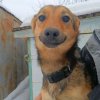 Иконка канала Auraaura