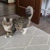 Иконка канала GALKIN DOM