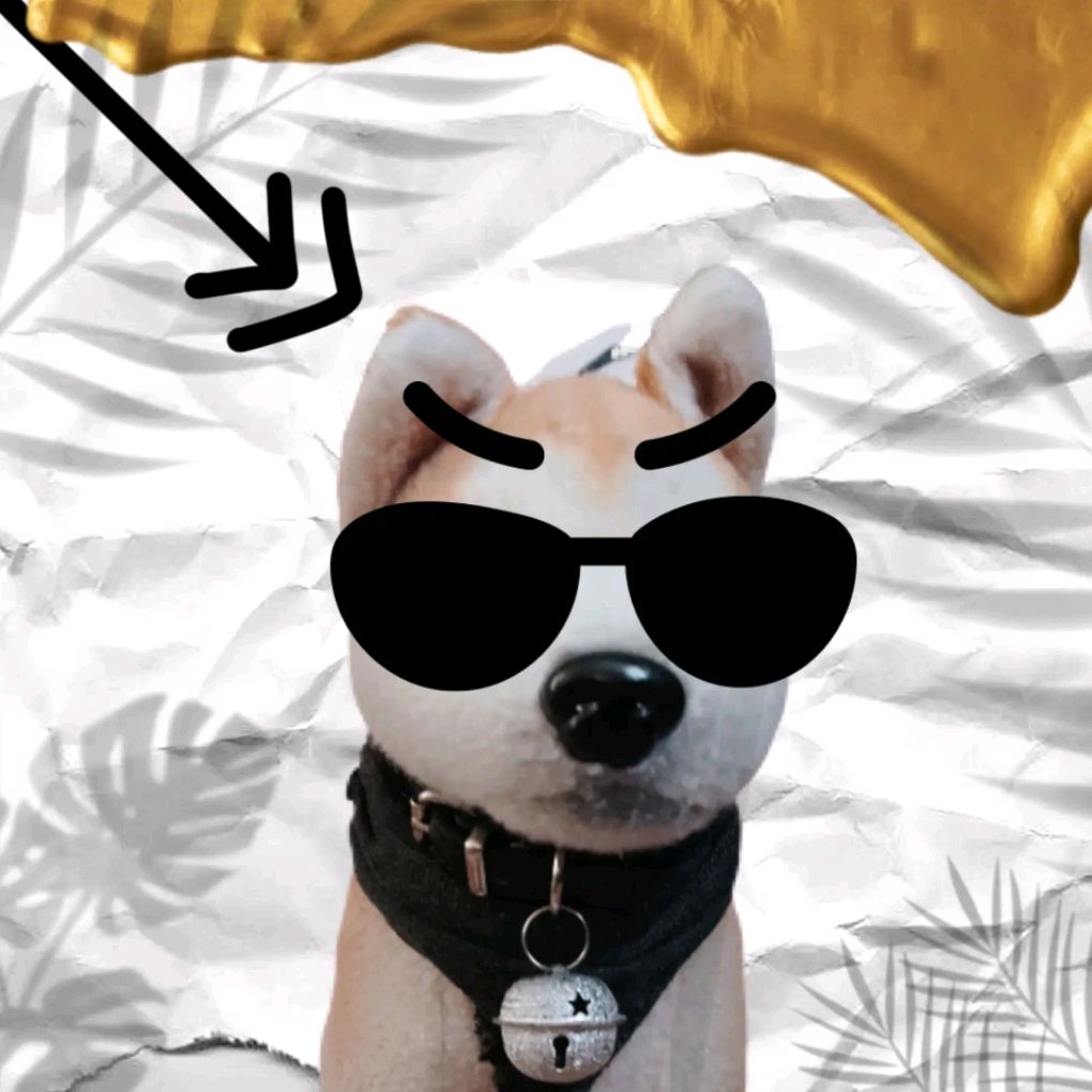 Иконка канала ﹤√∆ my essa Oscar ∆√﹥