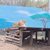 Иконка канала Просто чел👍