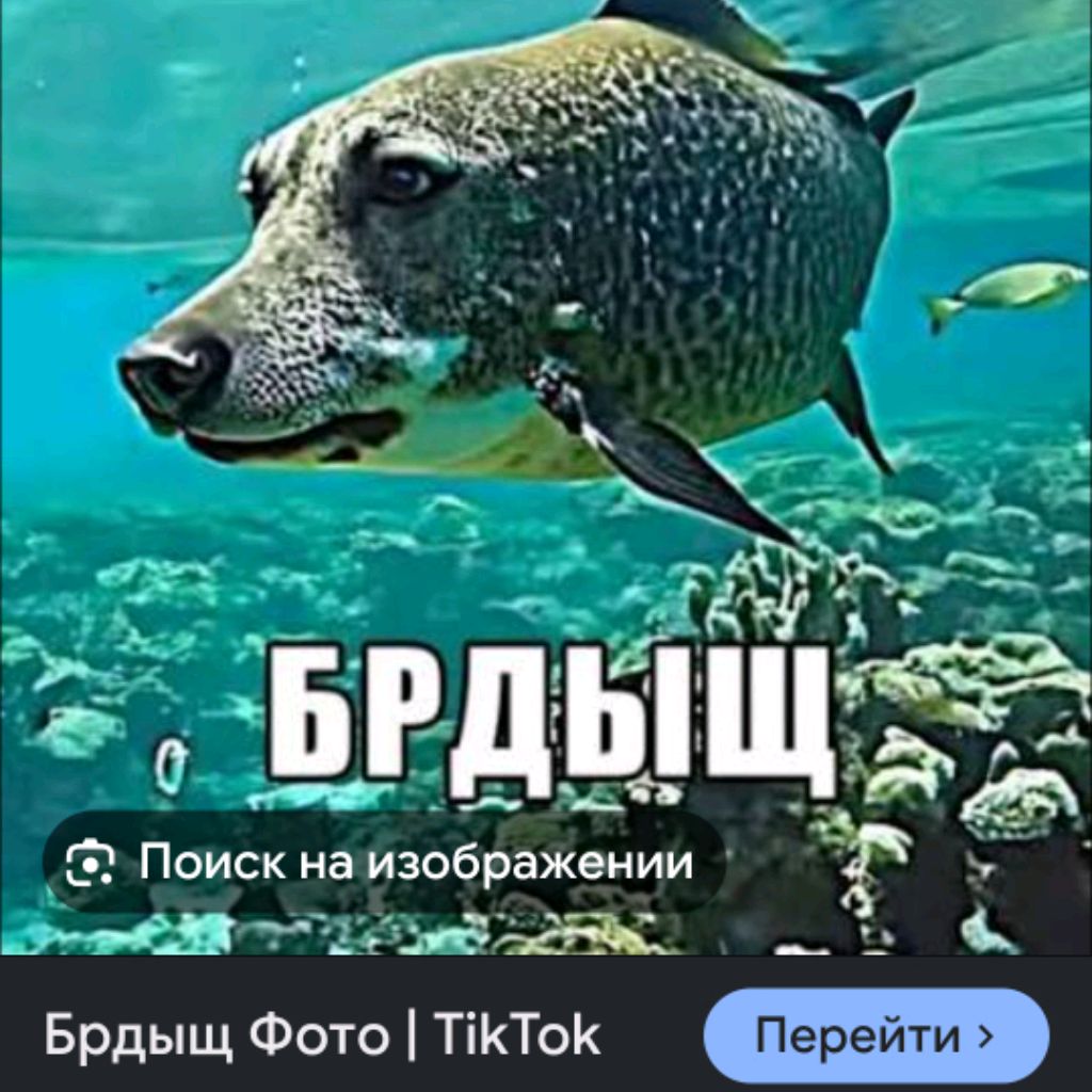 Иконка канала channel78712203
