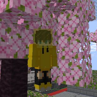 Иконка канала Lizynchik_Minecraft