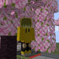 Иконка канала Lizynchik_Minecraft