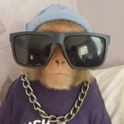 Иконка канала channel78737955