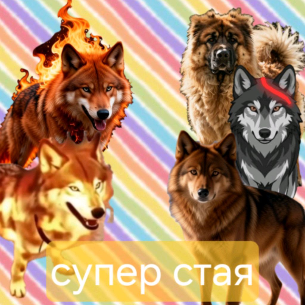 Иконка канала Супер Стая