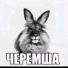 Иконка канала Марк Жусупов