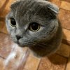 Иконка канала Басик
