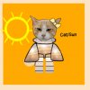 Иконка канала ✦ cat sun ✦