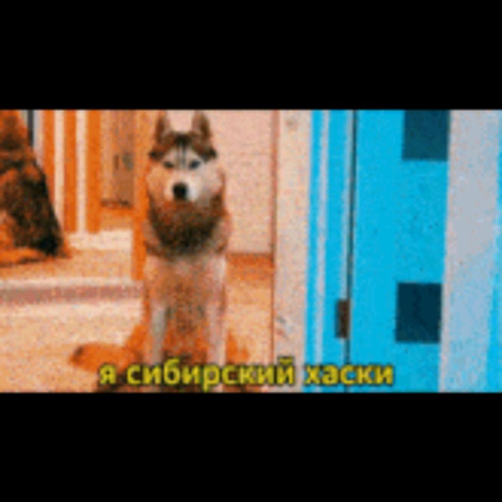 Иконка канала КРУТОЙ КОРЖ(ИК)