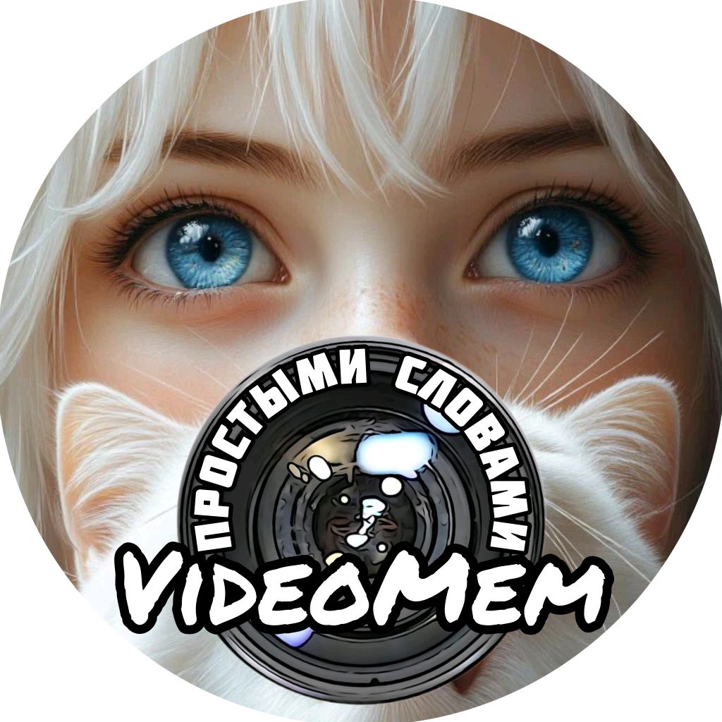 Иконка канала Простыми Словами VideoMem