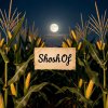 Иконка канала Shosh_Of