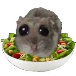 Иконка канала HamsterMinecraft