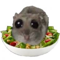 Иконка канала HamsterMinecraft