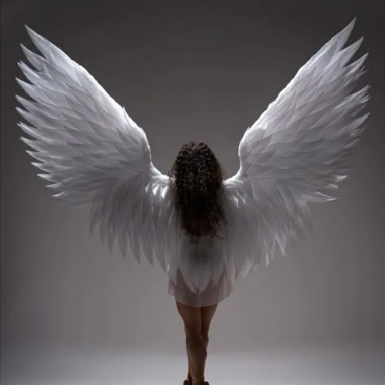 Иконка канала 🪽Angel_ story_🪽