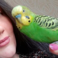 Иконка канала RiggiMinni and parrots