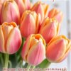 Иконка канала Iris29011969!!73341909