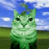 Иконка канала nekolodei
