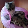 Иконка канала ДЛЯ СЕБЯ