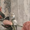 Иконка канала Находки С WB С Александрой🫐🌸