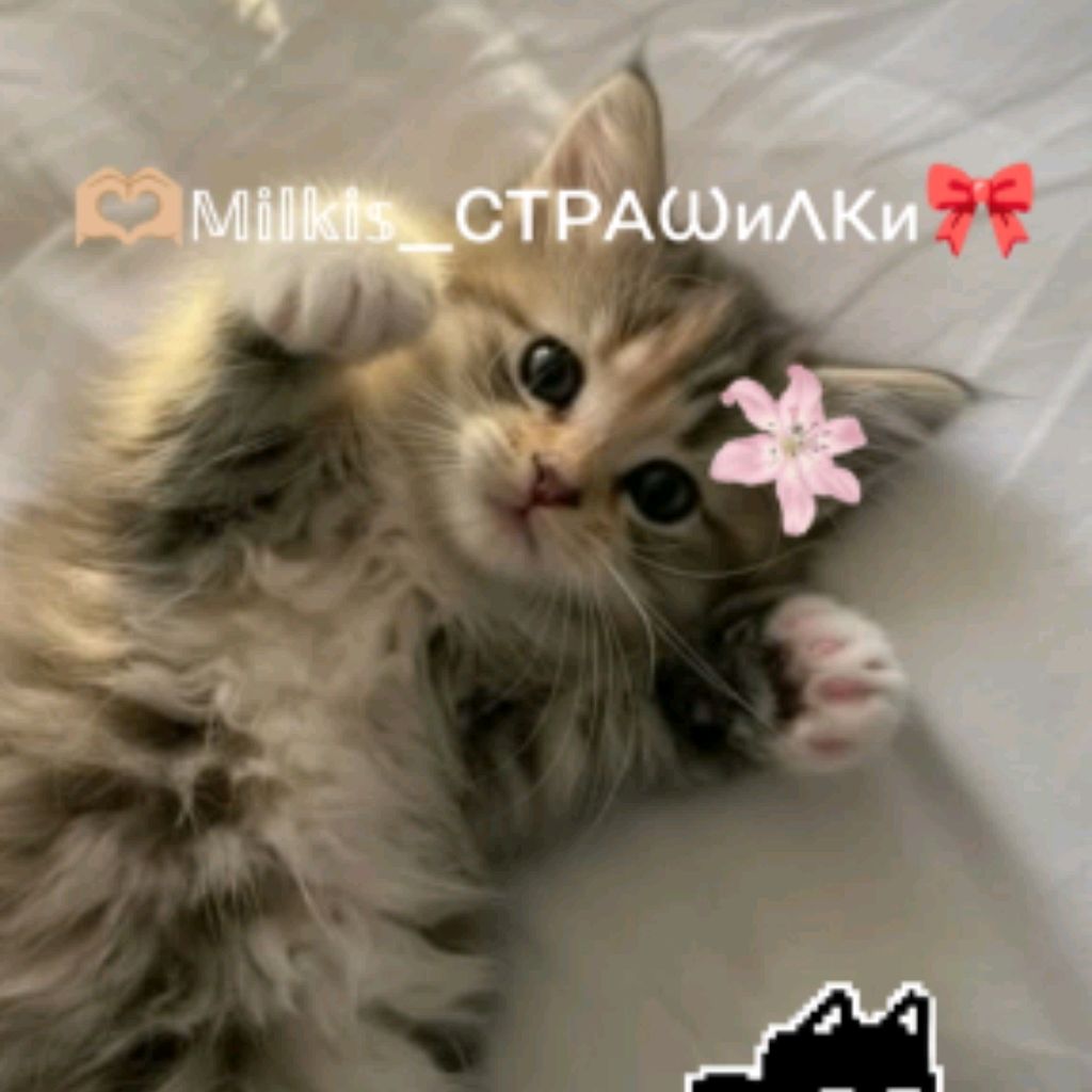 Иконка канала 🫶🏼𝕄𝕚𝕝𝕜𝕚𝕤_ᴄᴛᴩᴀⲱиᴧᴋи🎀