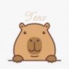 Иконка канала Teno