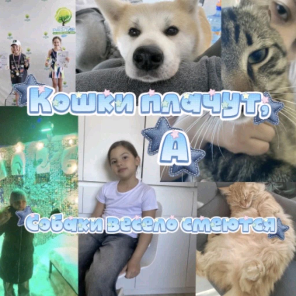 Иконка канала Кошки плачут, а собаки весело смеются