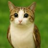 Иконка канала Котёнок19K®