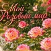 Иконка канала Мой Розовый мир