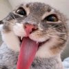 Иконка канала Перезалив YT