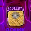 Иконка канала Дошык мяу