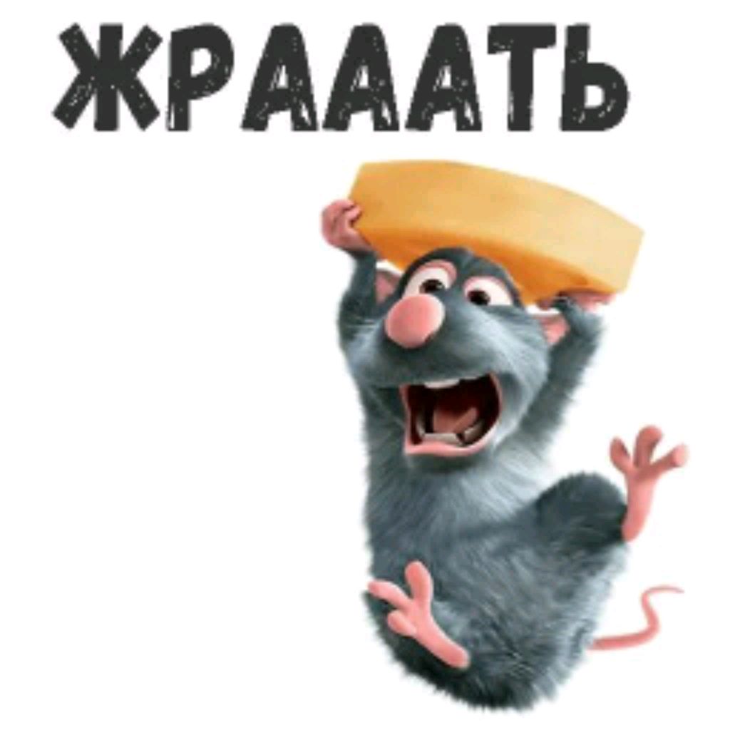 Иконка канала ШУРИК И РАТАТУЙ
