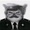 Иконка канала mregor9815