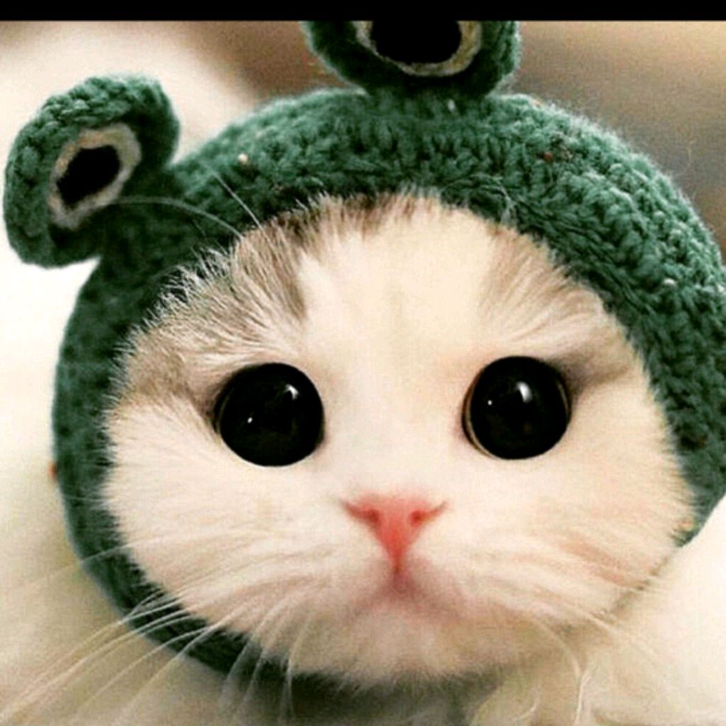 Иконка канала 💚Элисис💚