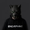 Иконка канала ENDRPHNE
