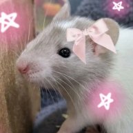 Иконка канала ✩꧁𝚔𝚛𝚢𝚜𝚔𝚊_11к꧂☆