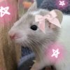 Иконка канала ✩꧁𝚔𝚛𝚢𝚜𝚔𝚊꧂☆
