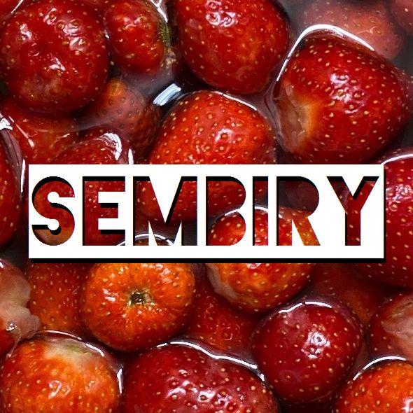Иконка канала SEMBIRY