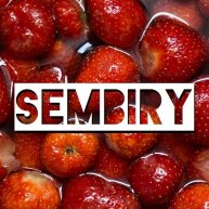 Иконка канала SEMBIRY