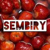 Иконка канала SEMBIRY