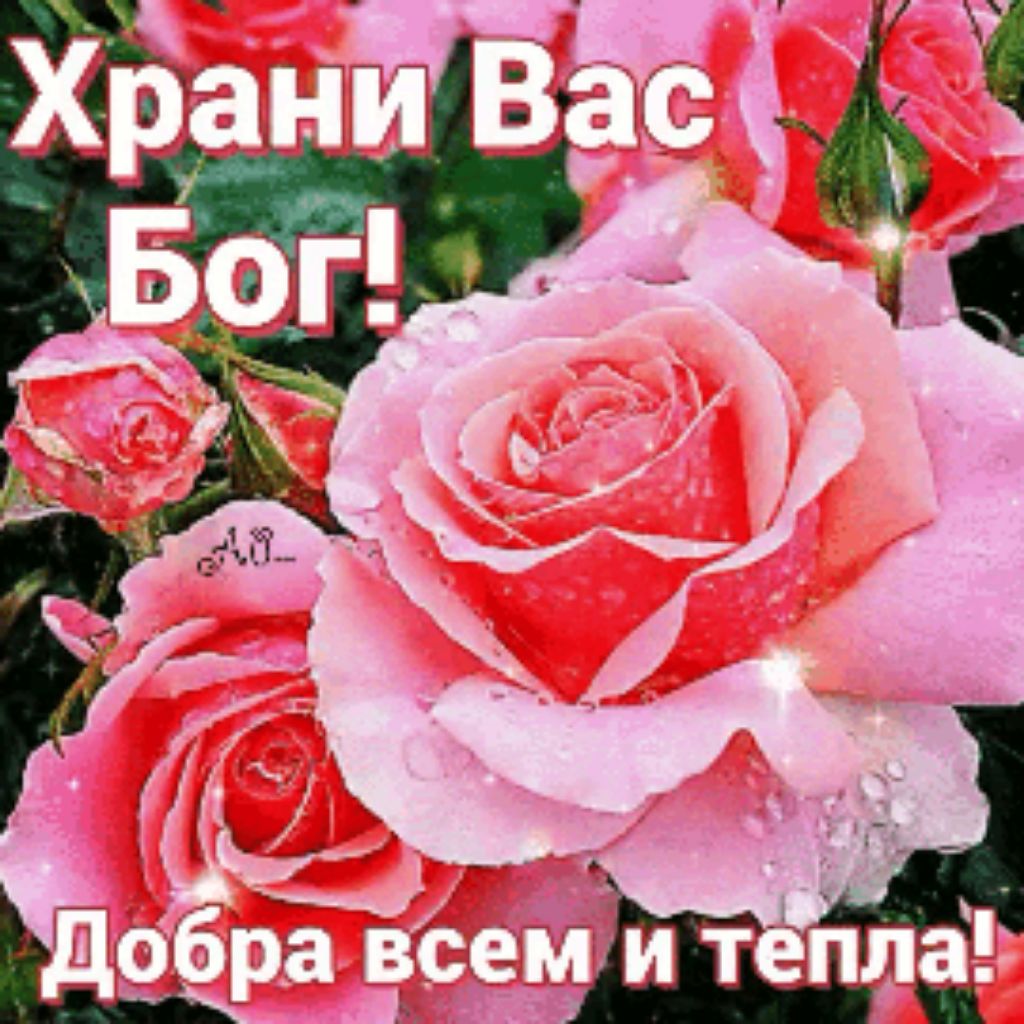 Иконка канала channel51754328 Наталия