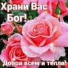 Иконка канала channel51754328 Наталия