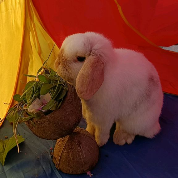 Иконка канала ❤️ Бусинка 💙