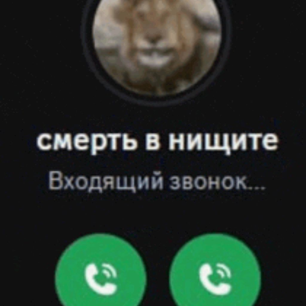 Иконка канала Котость Бурмалдиша