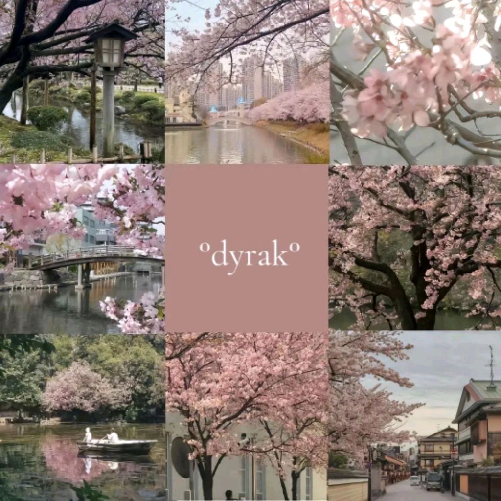 Иконка канала Sakura