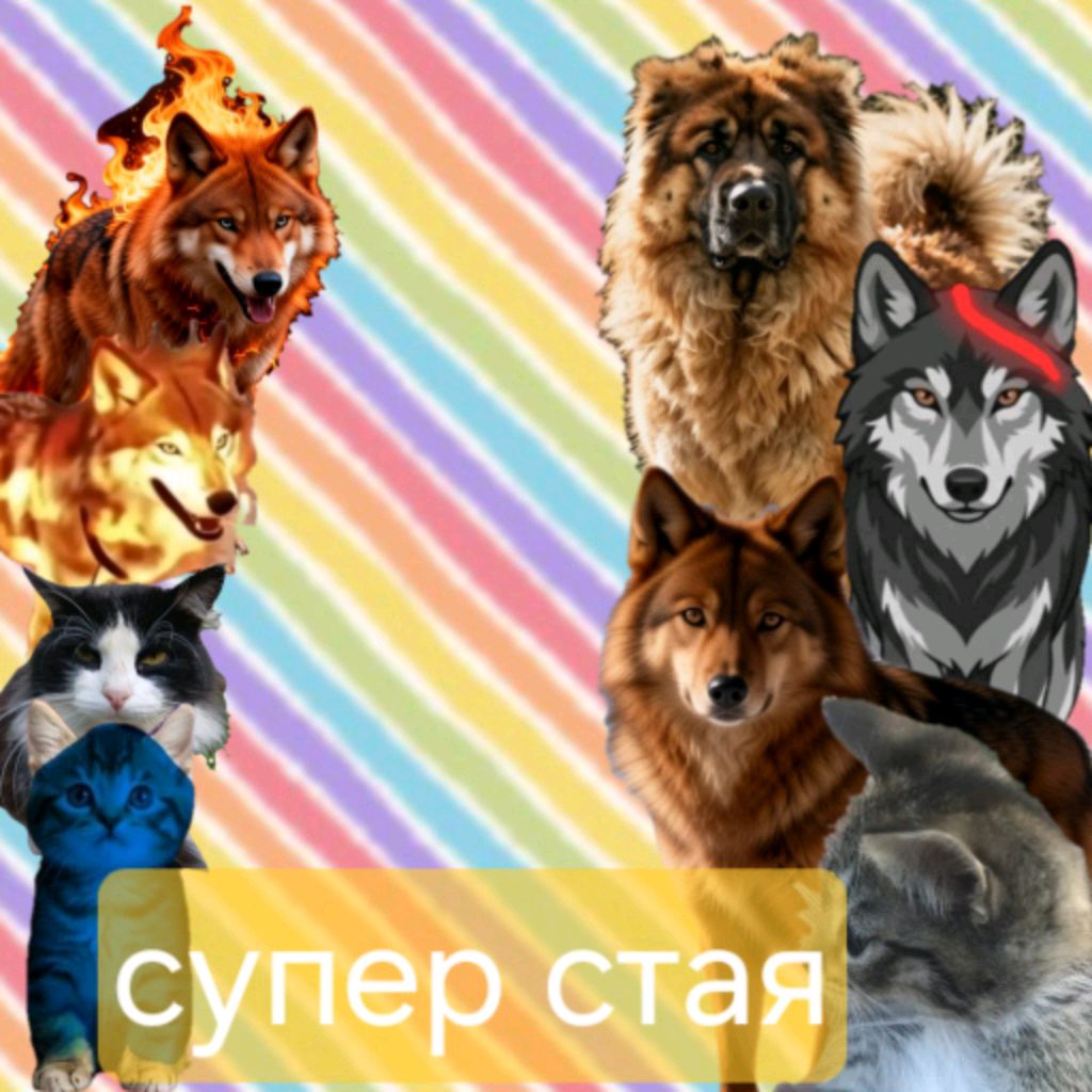Иконка канала Супер Стая